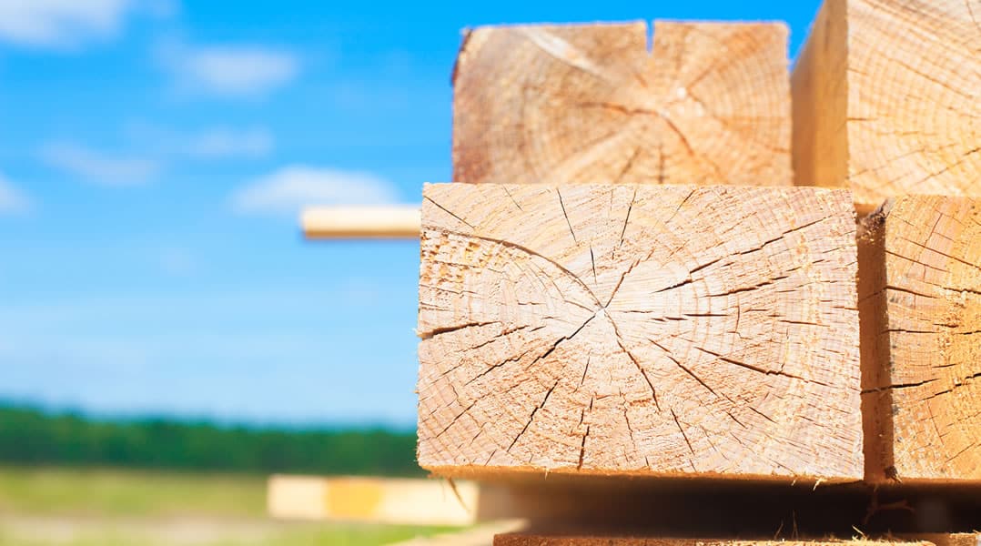 2016 Housing Markets and Timberland-Owning REITs - LANDTHINK