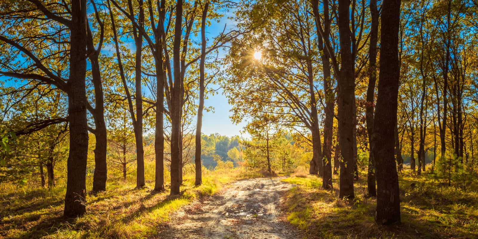 5 Key Questions for New Recreational Land Buyers to Ask - LANDTHINK