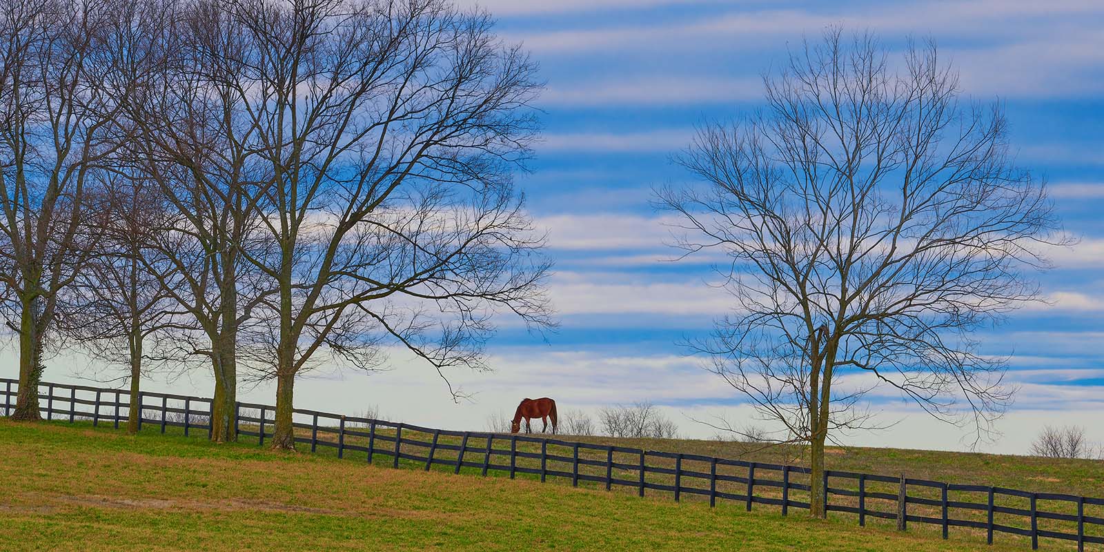 Americans Are Moving to Rural Alabama and Georgia - LANDTHINK
