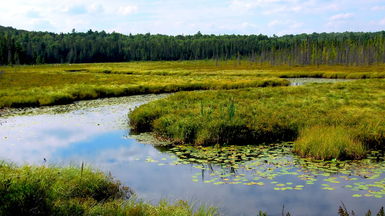 Owning Land, Land Ownership, Land Stewardship - LANDTHINK