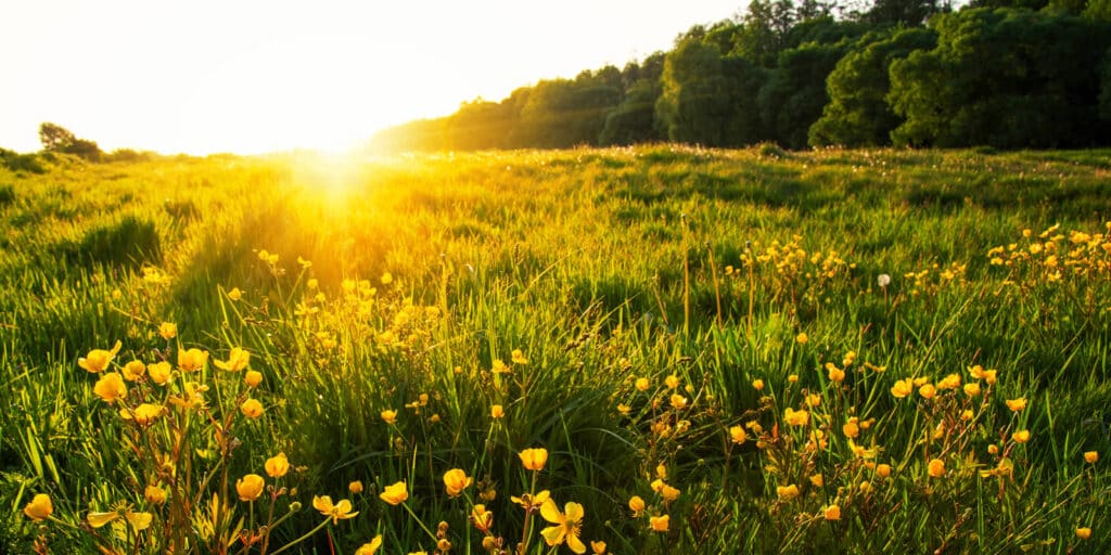 Everything You Need to Know About Property Access - Part 2 - LANDTHINK