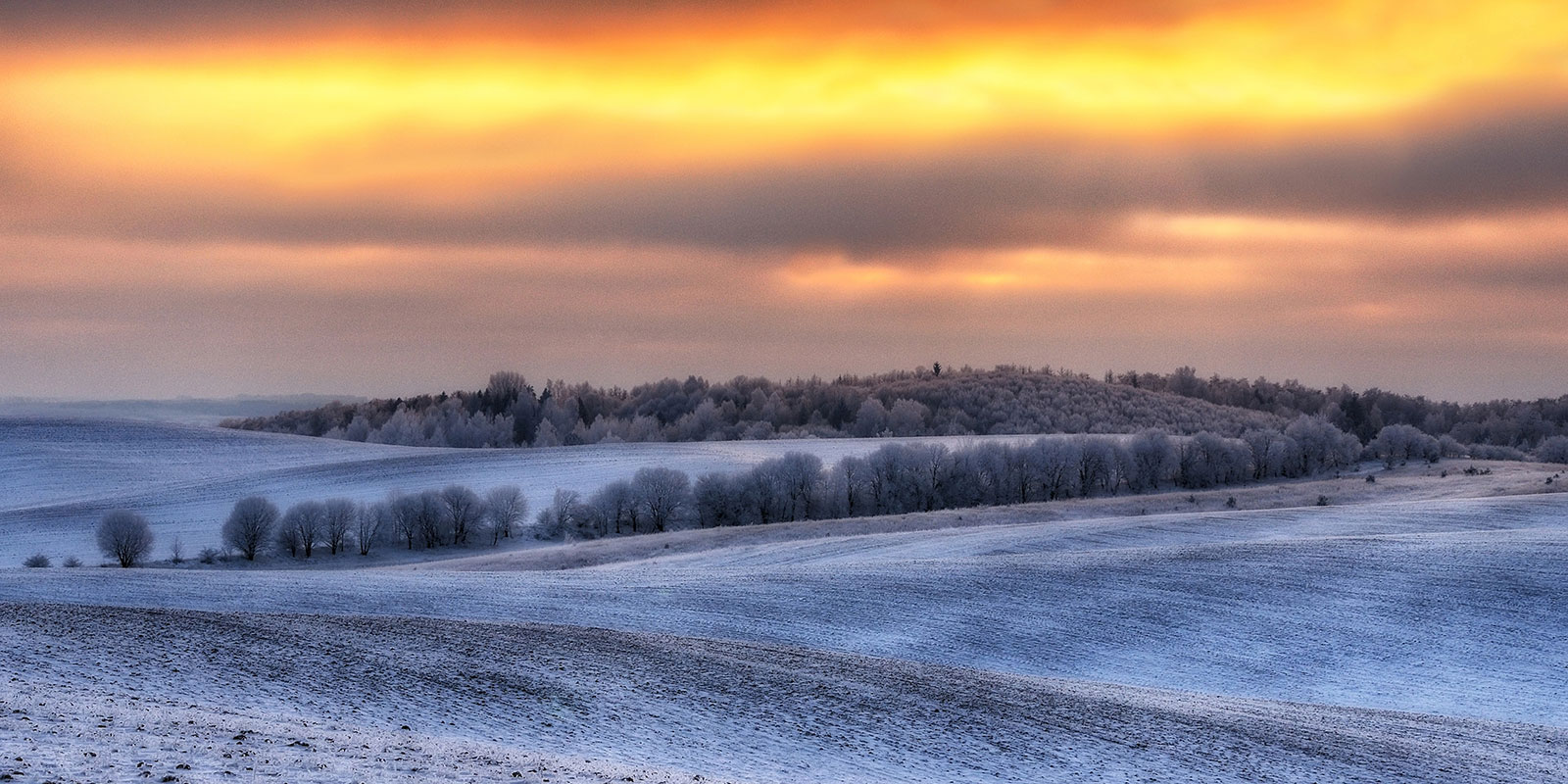 Fields of the Future: The Role of Robotics in Revolutionizing ...