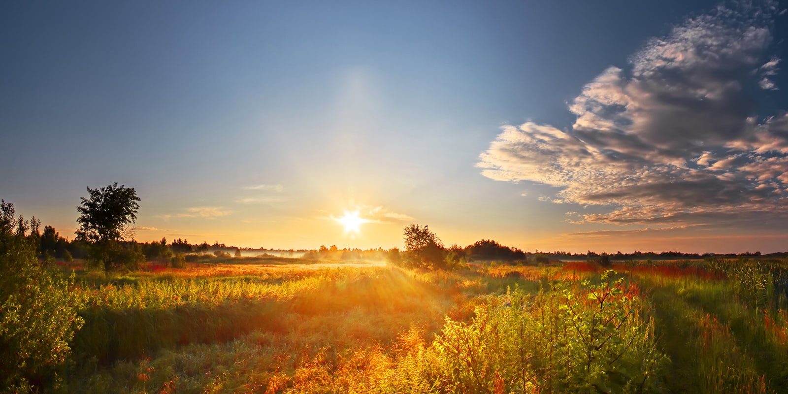 Finding Land: Where to Start and What to Look For - LANDTHINK