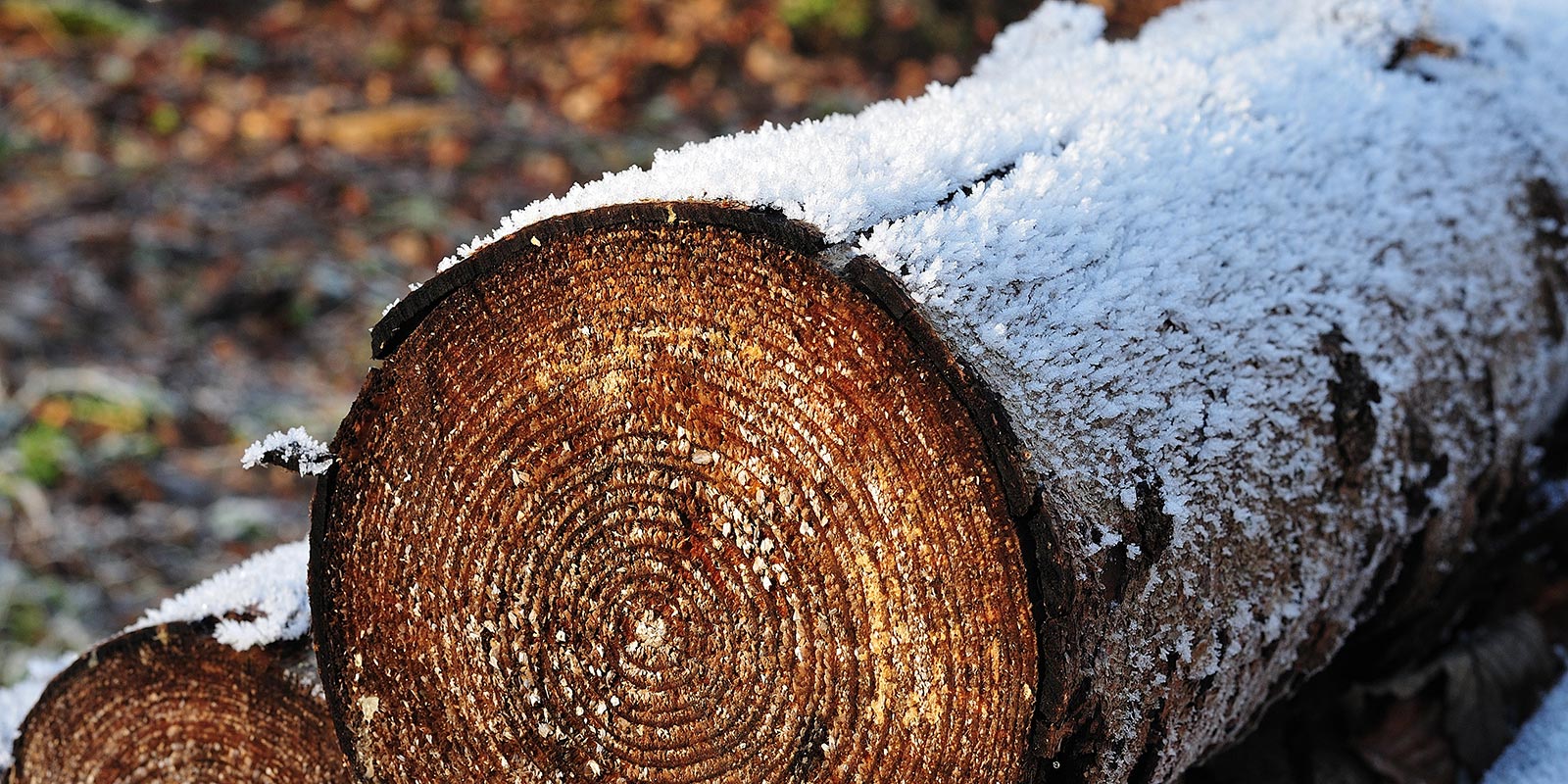 Forest Investments and Opportunity Costs: Nothing Mandates a Timber ...