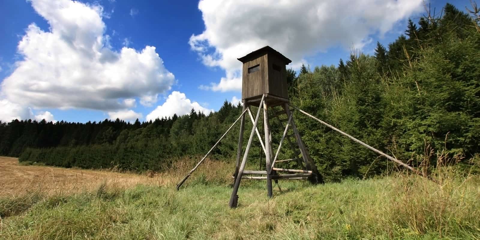 Habitat Diversity And Quality Hunting Properties Valuable Assets In habitat-diversity-and-quality-hunting-properties-valuable-assets-in