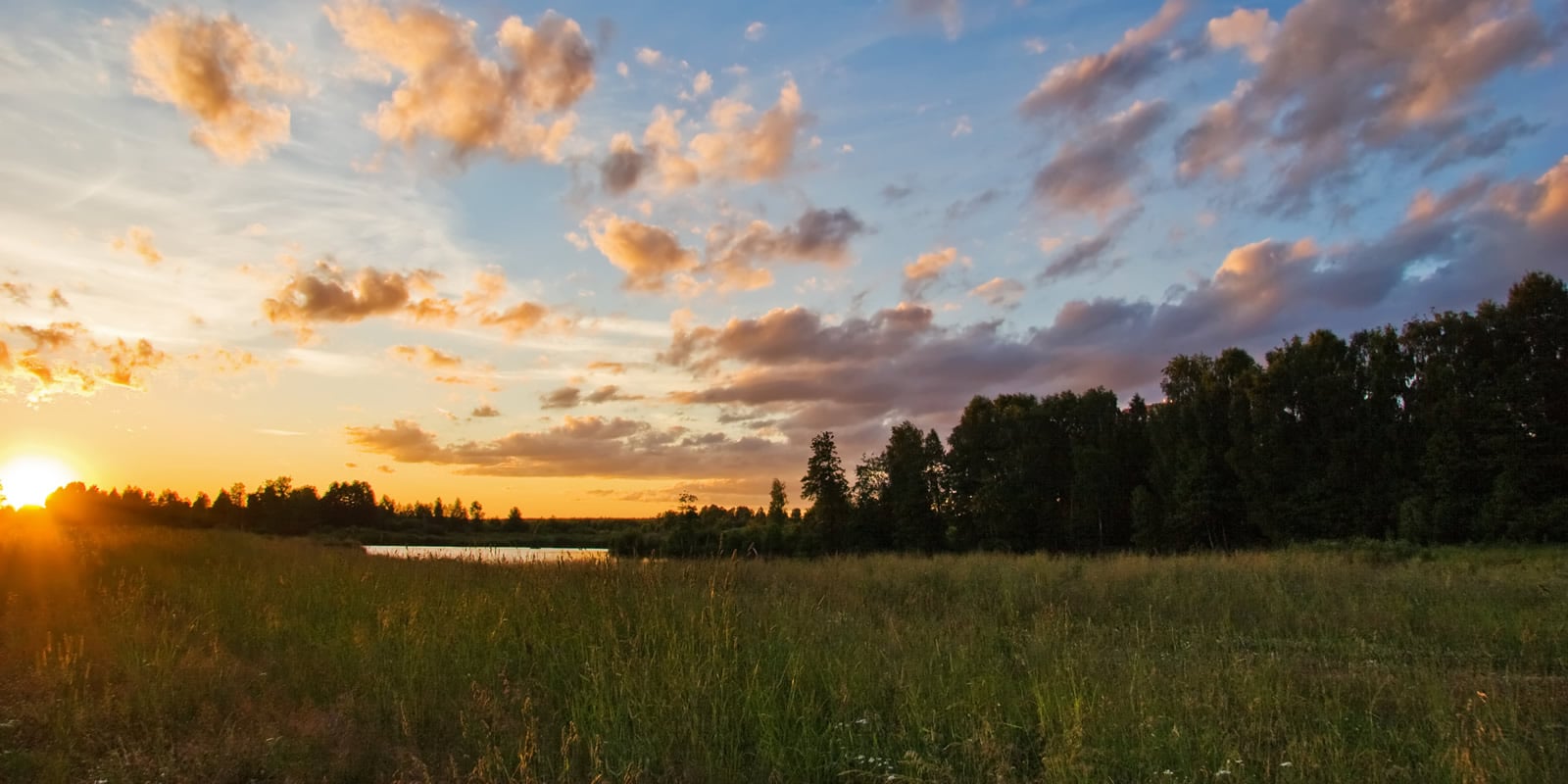 How I Tell the Story on a Listing - LANDTHINK