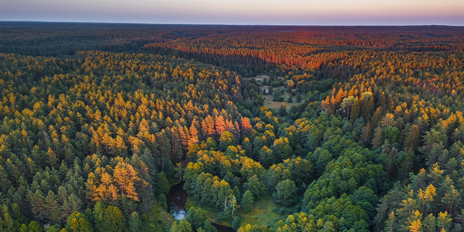 Important Considerations for Timberland Purchase and Management Method ...