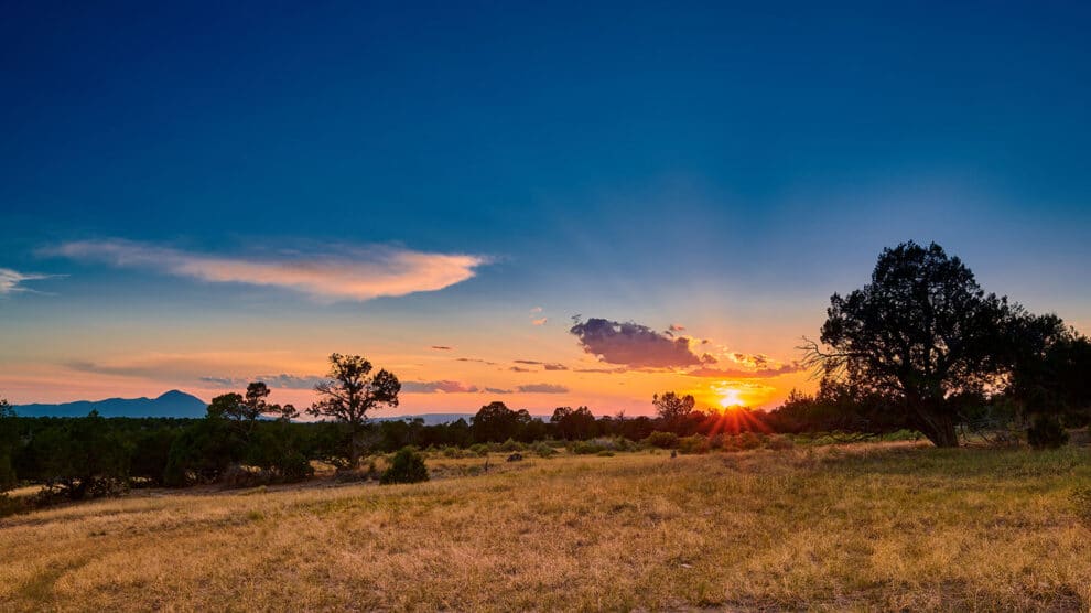 Buying Land, How to Buy Land, Land Investing, Invest in Land - LANDTHINK