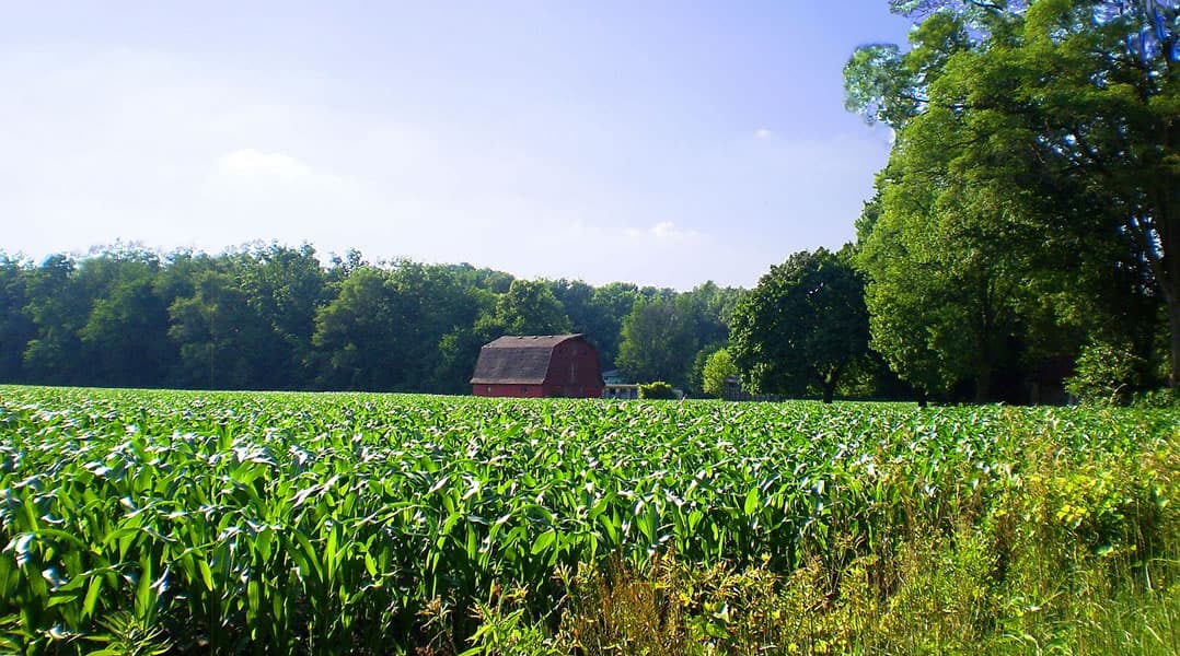 Investing Strategically in Large Rural Land Tracts Can Lead to ...