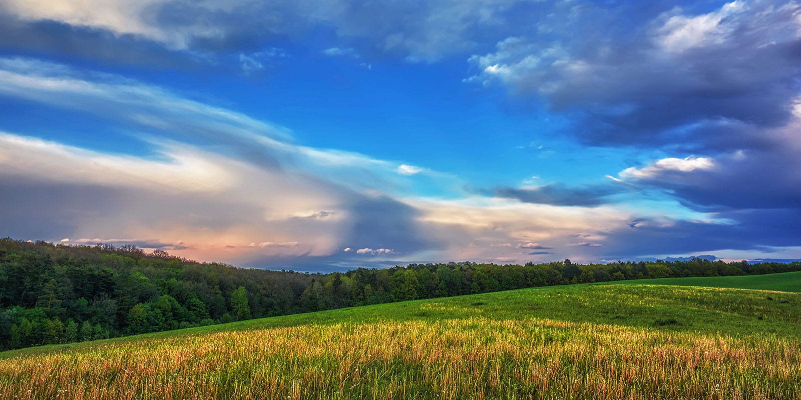 Land Buyer Mistakes and Tips to Avoid Them: Part 1 - LANDTHINK