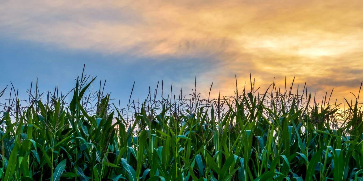 Land’s Role in Domestic Energy Production - LANDTHINK