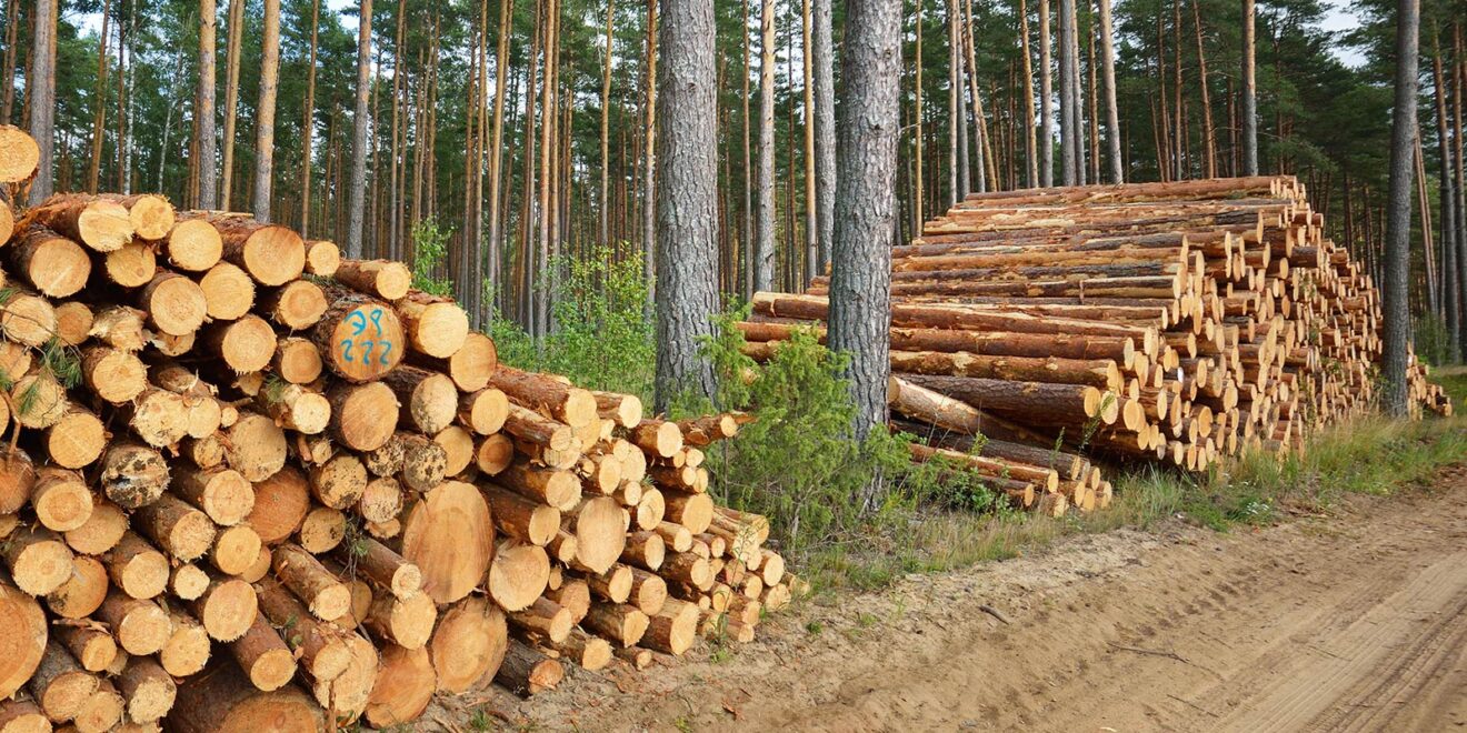 Local Log Markets and the Migration of Softwood Lumber Capacity Across ...