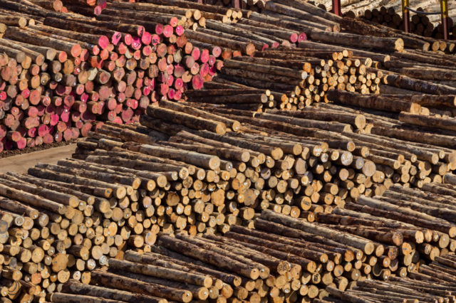 Softwood Lumber in North America and Timber in the Pacific Northwest ...