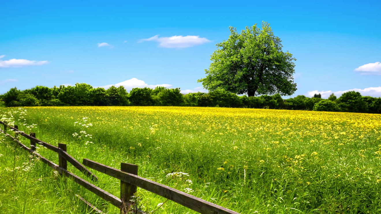 Owning Land, Land Ownership, Land Stewardship - LANDTHINK