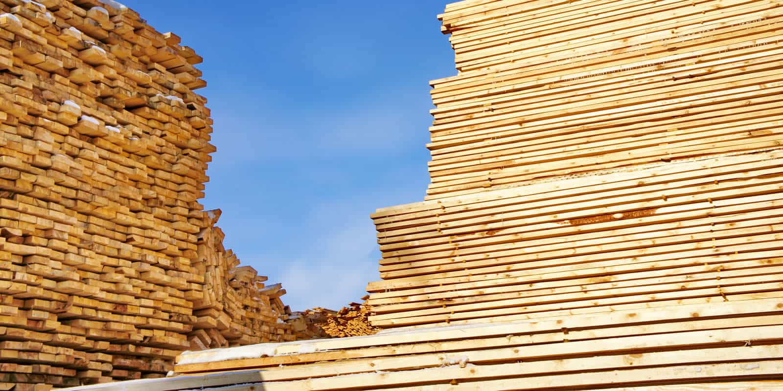 North American Softwood Lumber Production and the Value of Wood - LANDTHINK