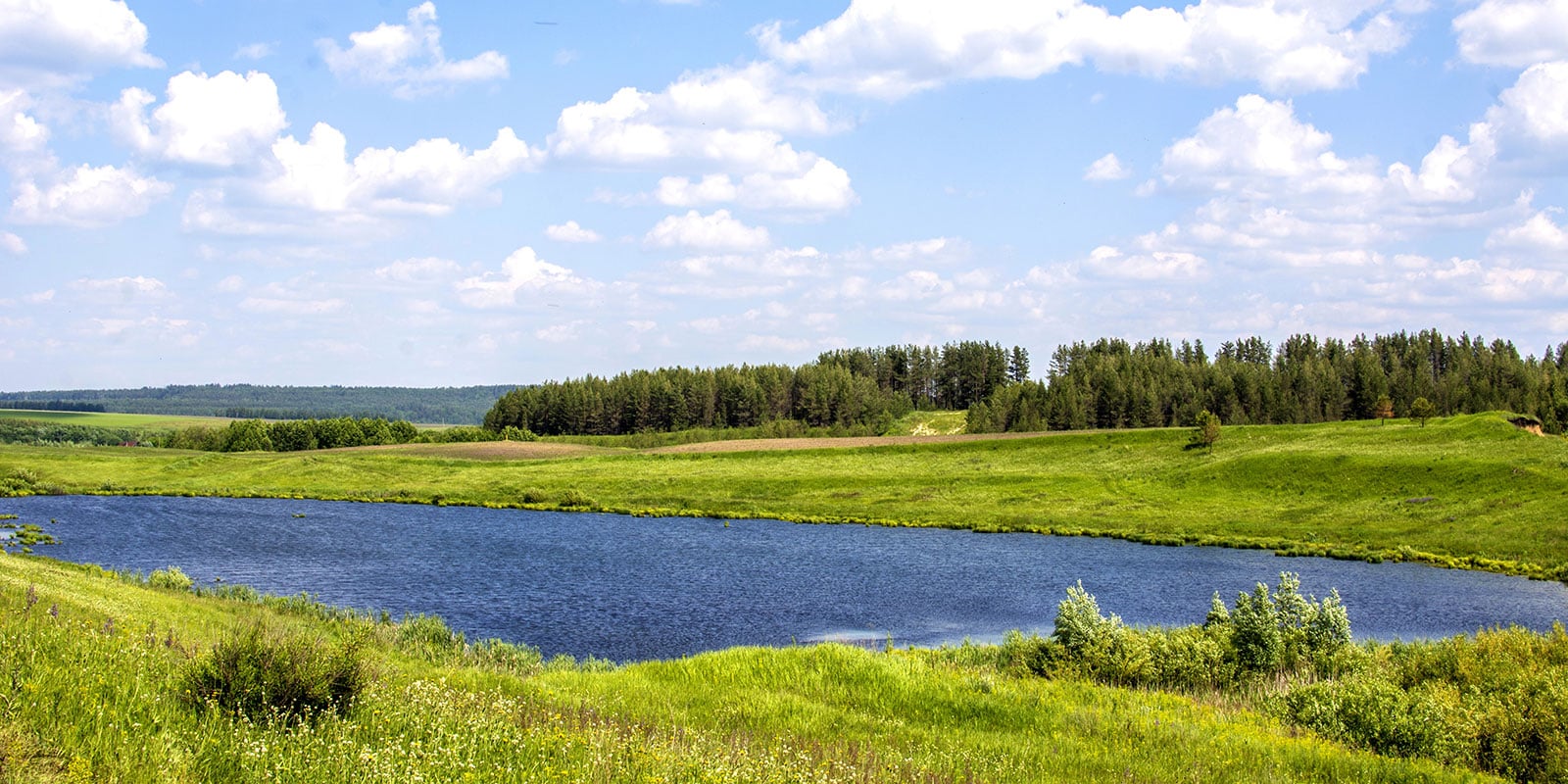 Pricing Your Land Correctly is Essential For Success - LANDTHINK