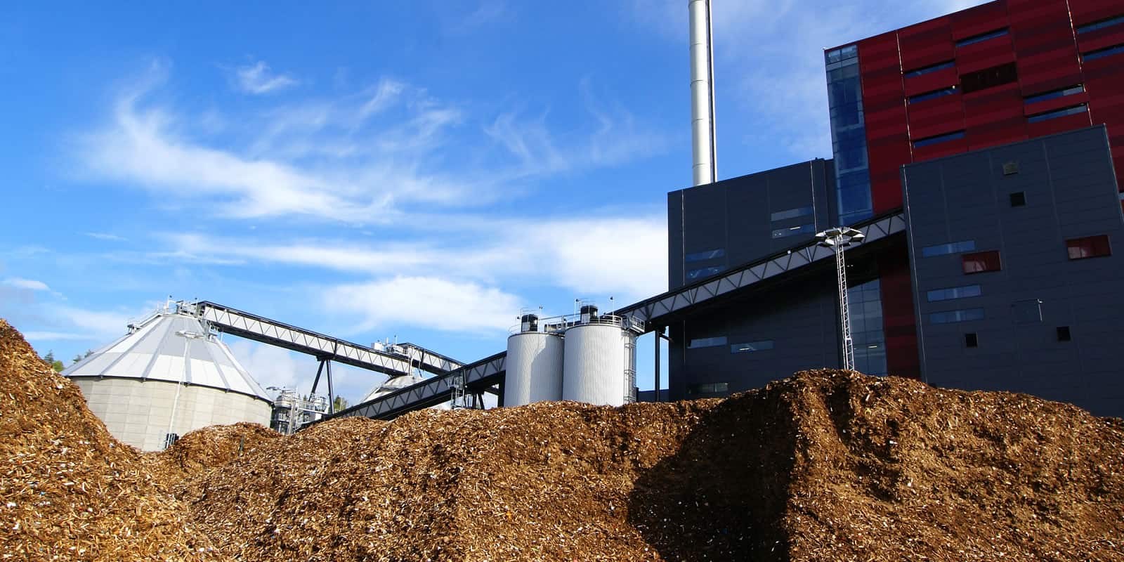 Producing Liquid Fuels from Wood: An Introduction - LANDTHINK