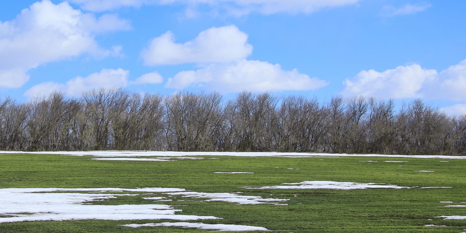 Pulse: Land is the Top Pick Over Other Assets for Investing - LANDTHINK