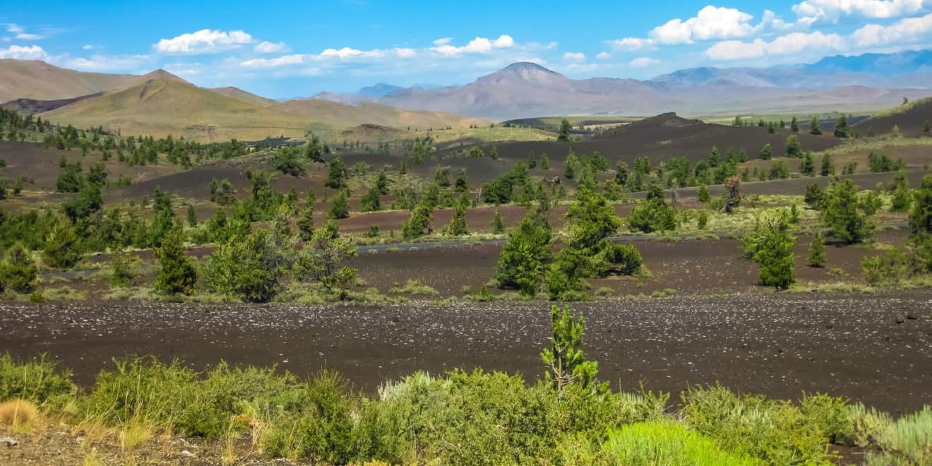 Pulse: Public Backs Trump’s Actions to Free Up Federal Land - LANDTHINK