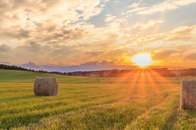 Random Land Tips - LANDTHINK