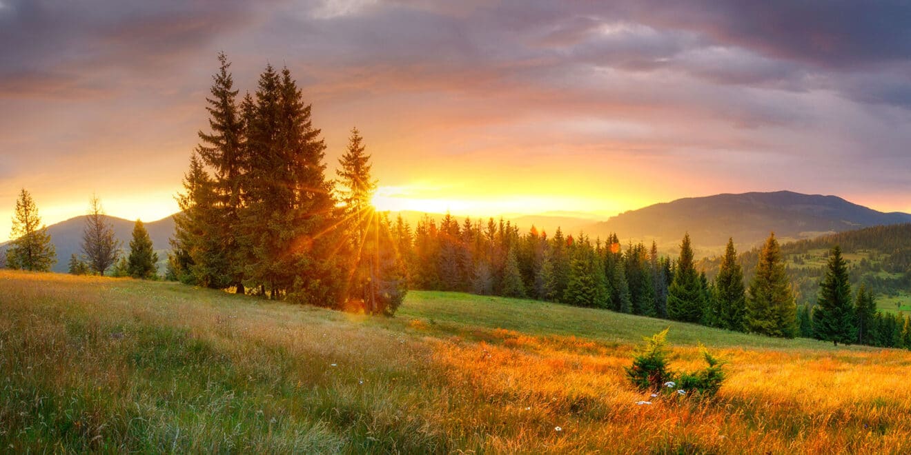 Restricted vs. Unrestricted Land: Making the Right Investment Choice ...