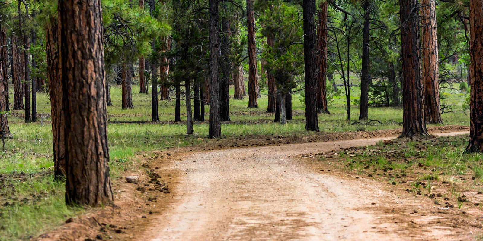 Simple Land Improvements Can Make a Big Difference - LANDTHINK