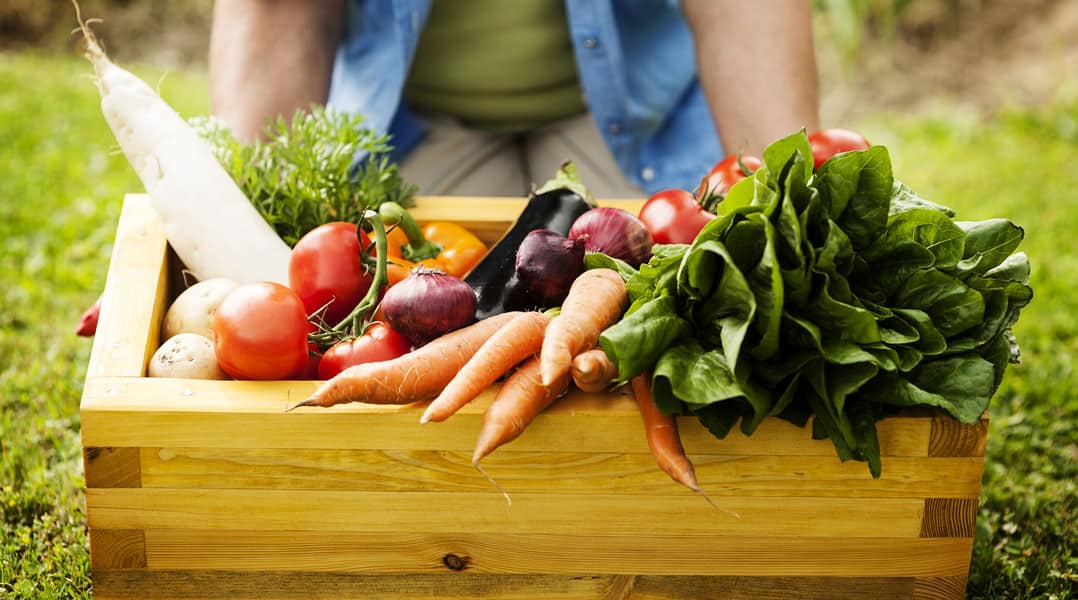 Suburban Farms – A Growing Trend - LANDTHINK