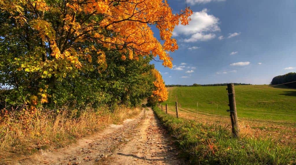 Things to Consider before Moving to the Country - LANDTHINK