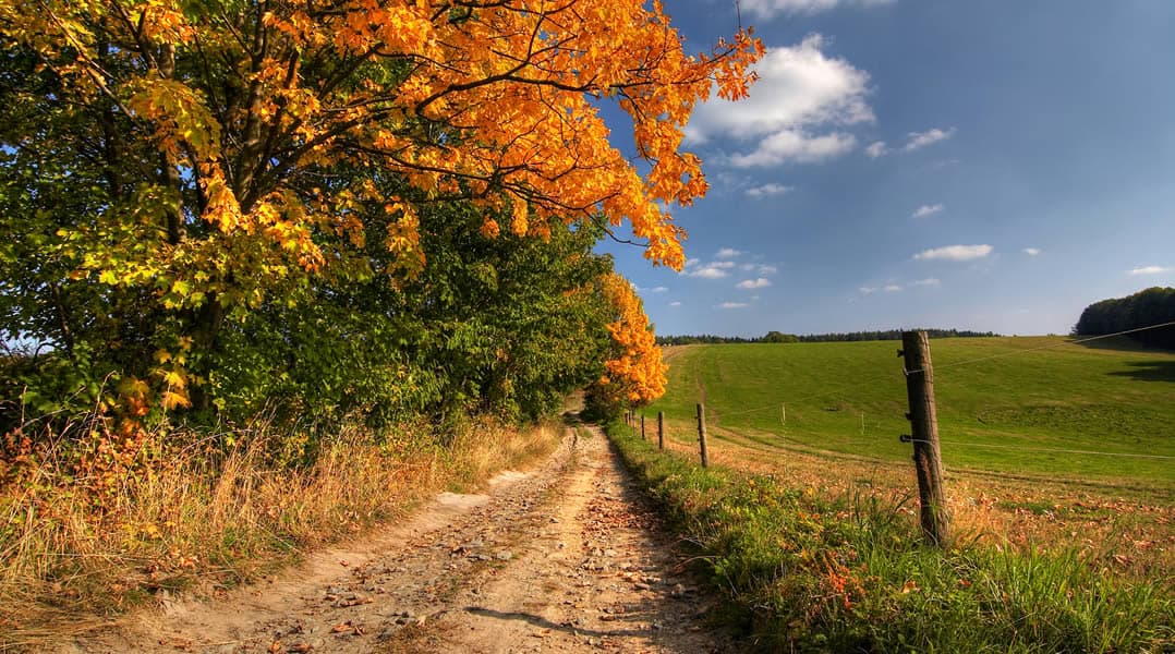 Things to Consider before Moving to the Country - LANDTHINK