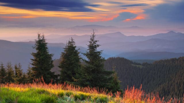 Buying Land, How to Buy Land, Land Investing, Invest in Land - LANDTHINK