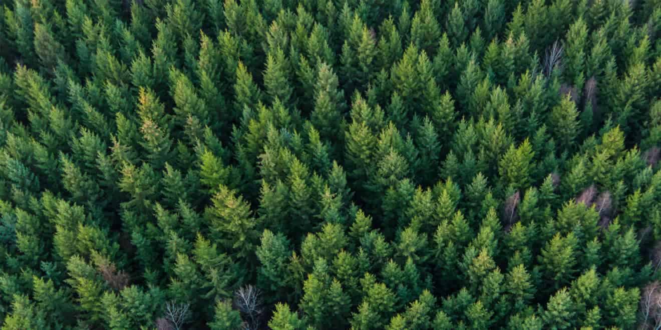Timberland Ownership and Management in North America: 2017 Update ...