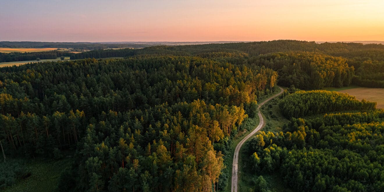 Timberland Transaction Trends: What Can We Learn from 2023? - LANDTHINK