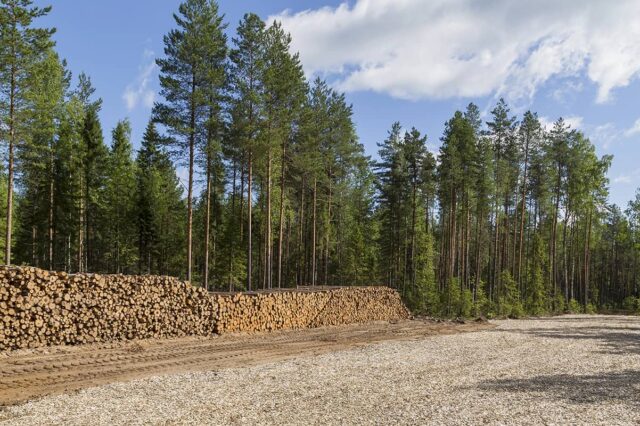 Understanding Timber Value: Part I - LANDTHINK