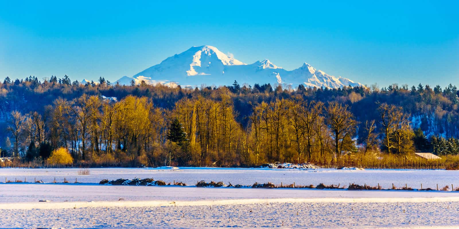 Tips On Rural Land Surveys - LANDTHINK