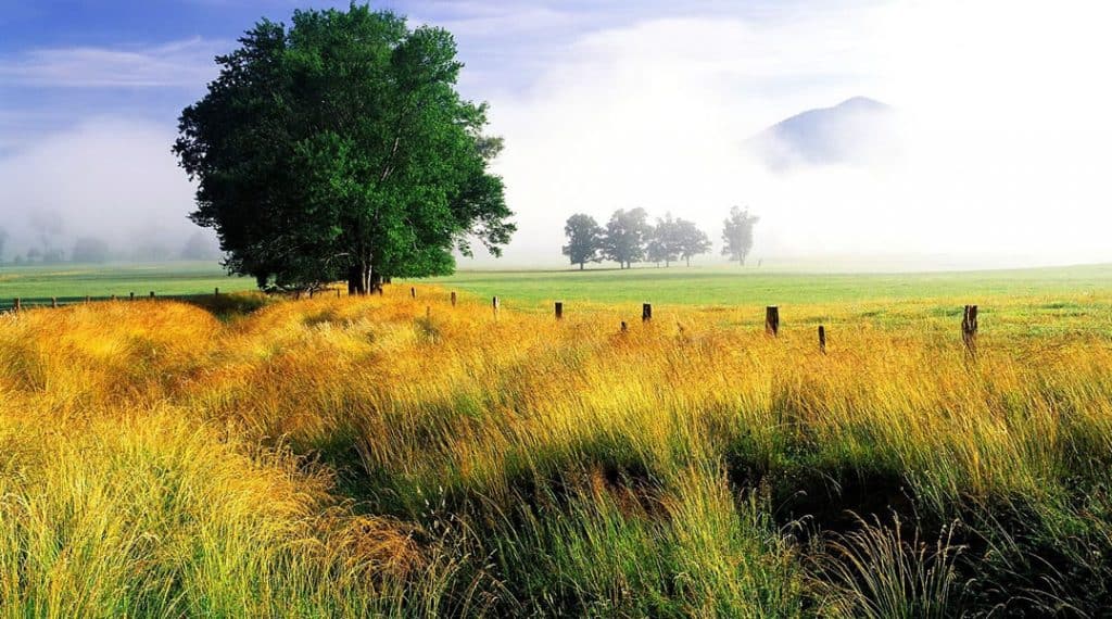 What is Rural? - LANDTHINK