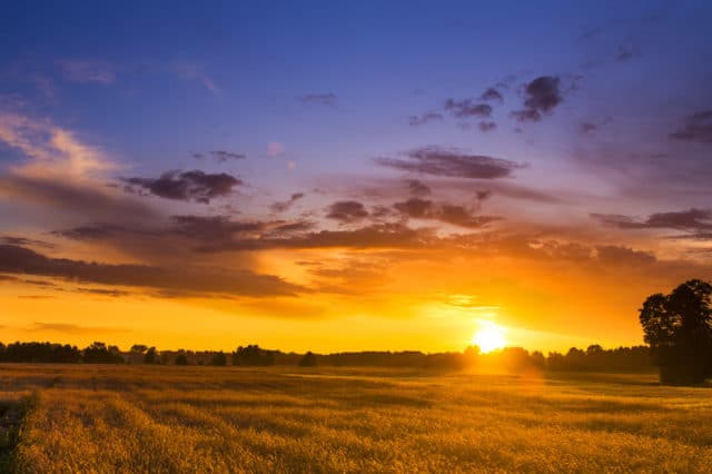 Dealing with Undivided Interest in Rural Land - LANDTHINK