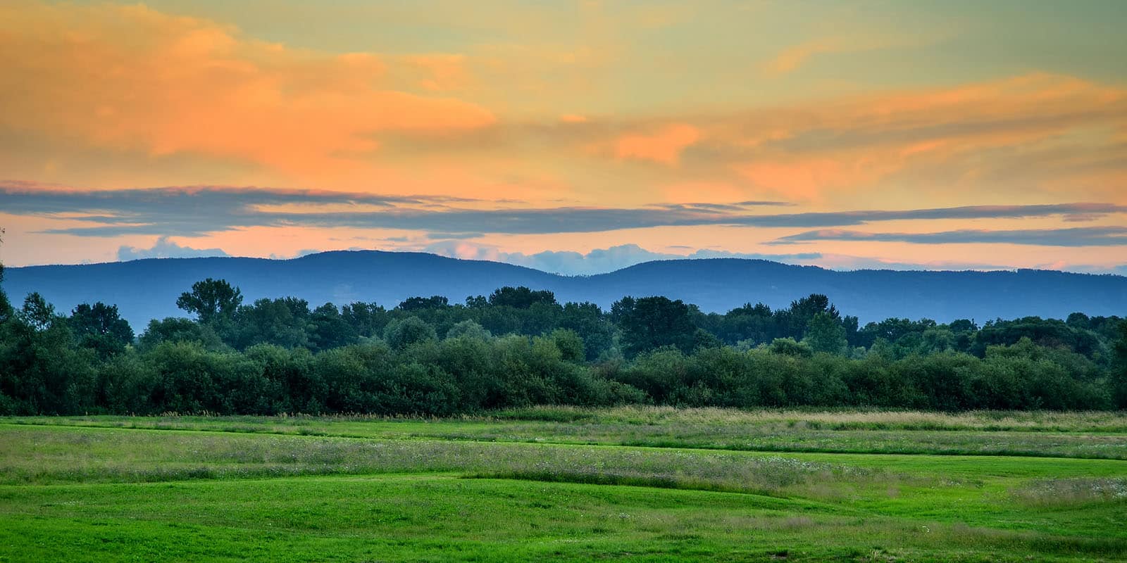 Why do Landowners Auction Their Rural Land? - LANDTHINK